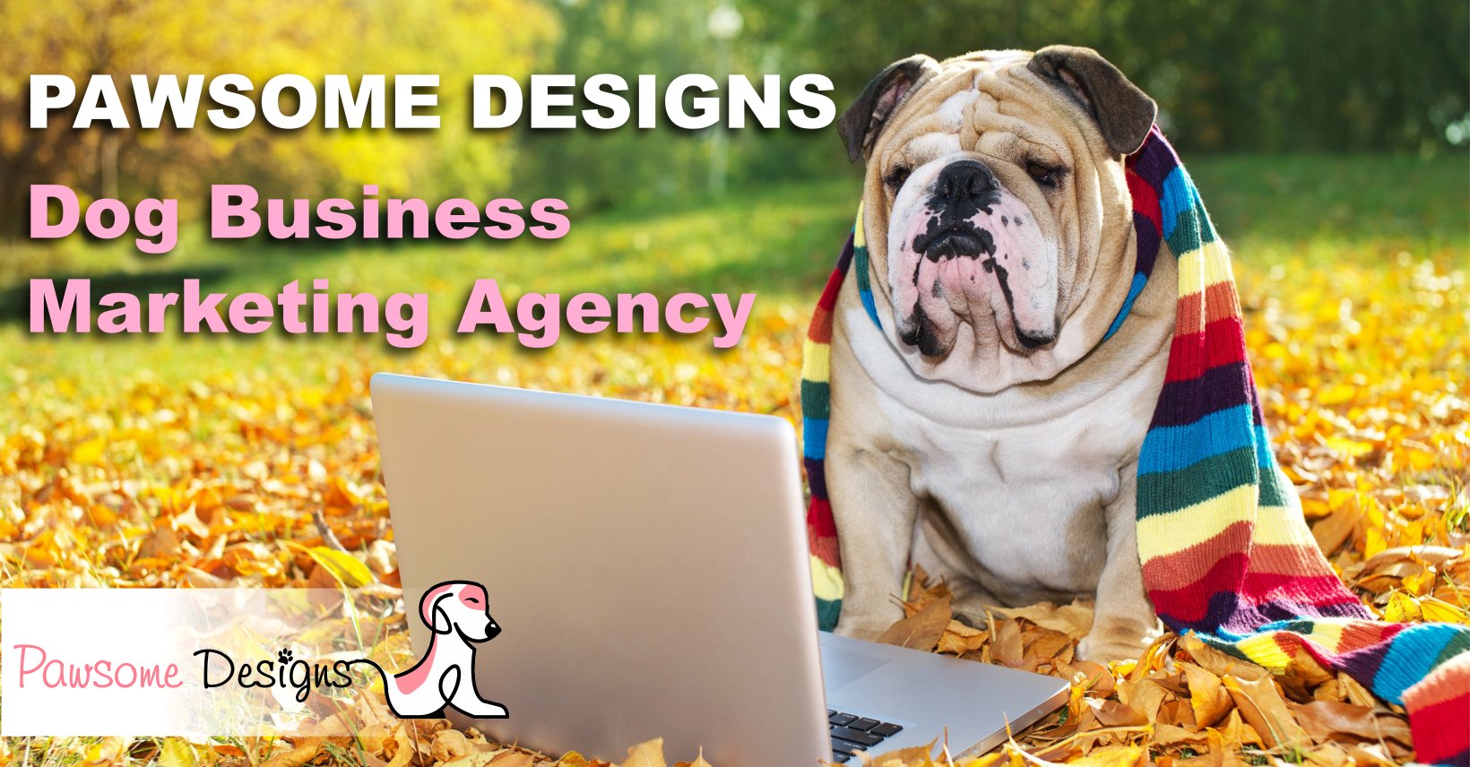 A Complete Guide To Dog Business Marketing - Pawsome Designs