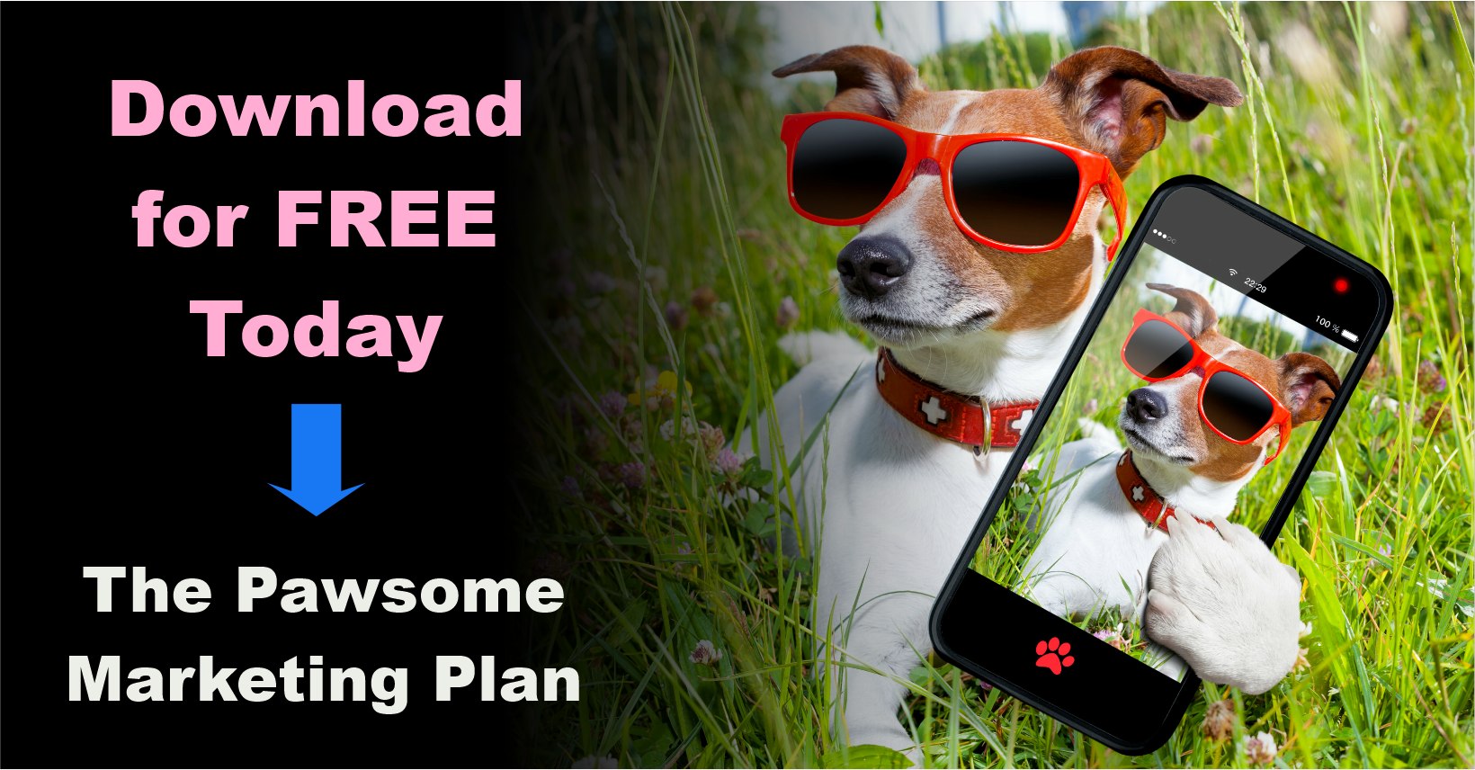 The Simple One Page Pawsome Marketing Plan for Dog Businesses
